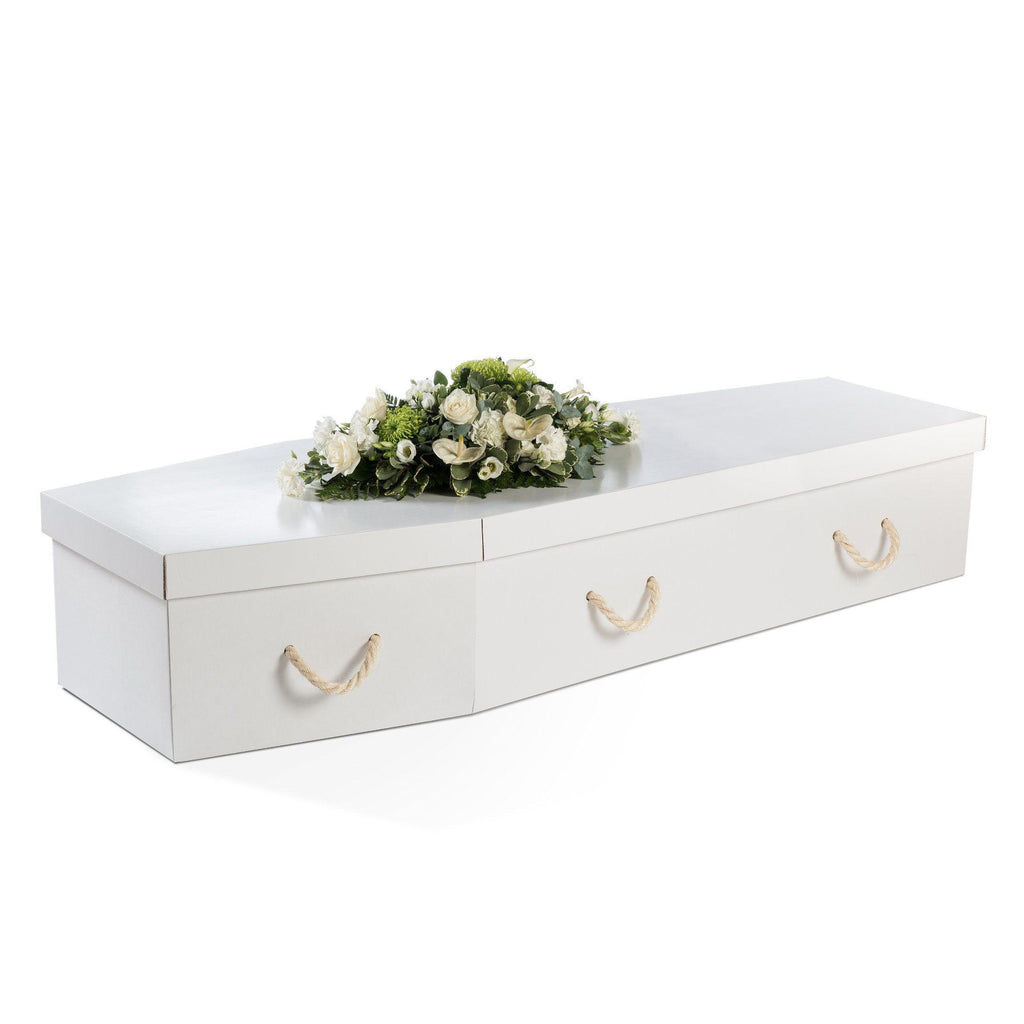 White Cardboard Coffin - For Burial or Cremation / 2-3 Day Delivery ...
