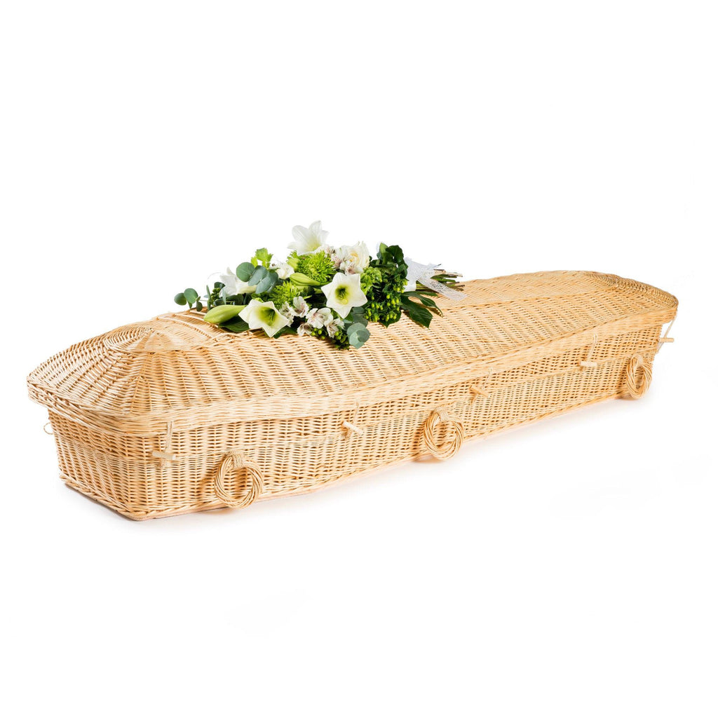Willow Pod Light Coffin - For Burial or Cremation