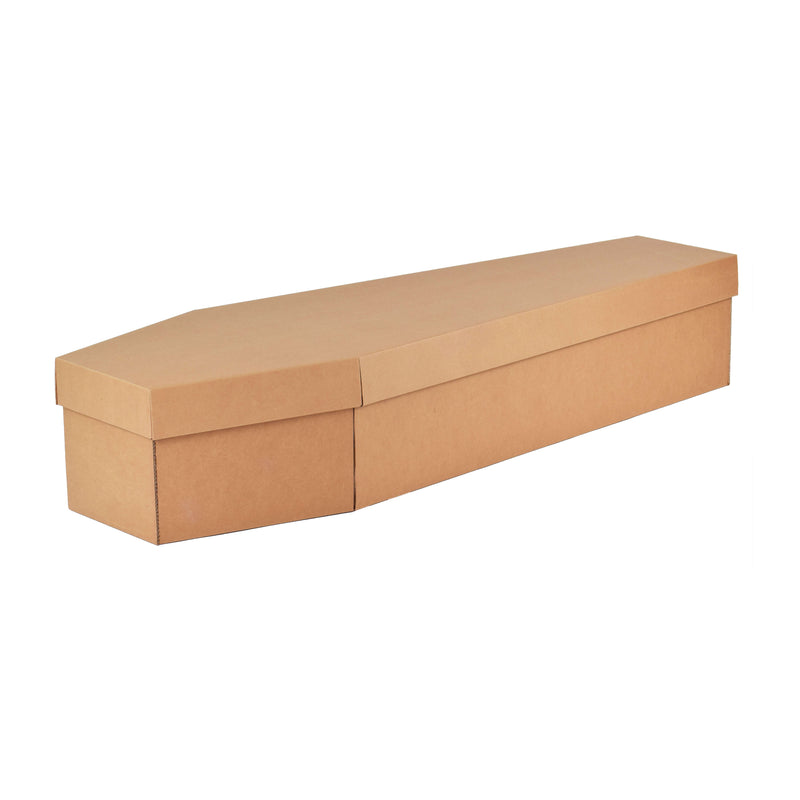 Economy Cardboard Coffin - For Burial or Cremation / Free 2-3 Day ...